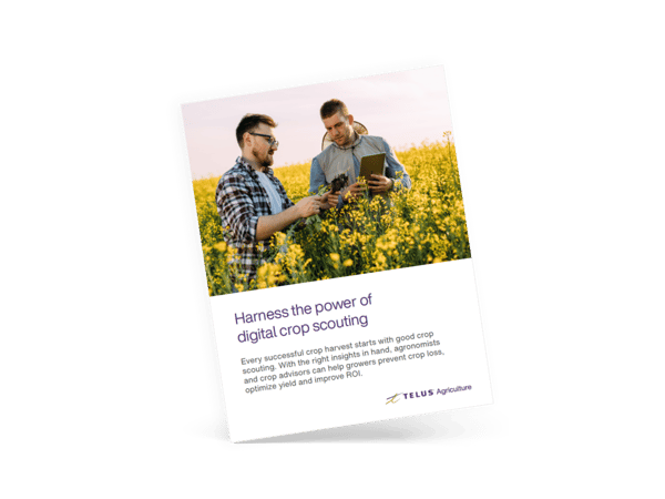 eBook Harnessing the power of digital crop scouting