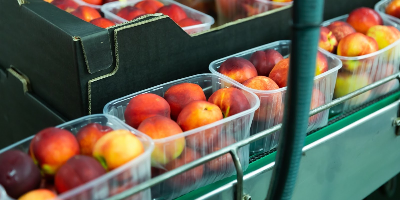 Revolutionise how temperature management is used in your food safety ...